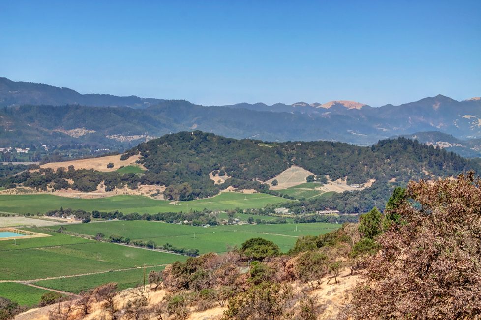 Panoramic Napa Valley - VineSmart