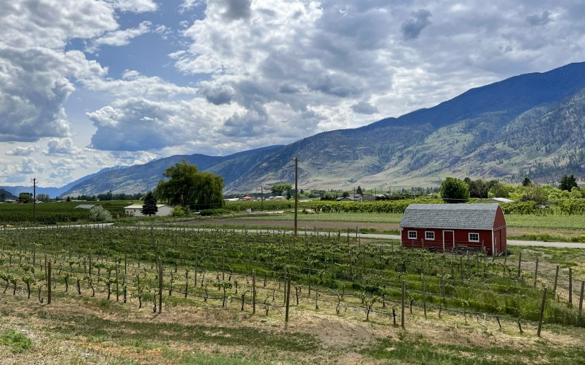 British Columbia Vineyards & Wineries For Sale - VineSmart