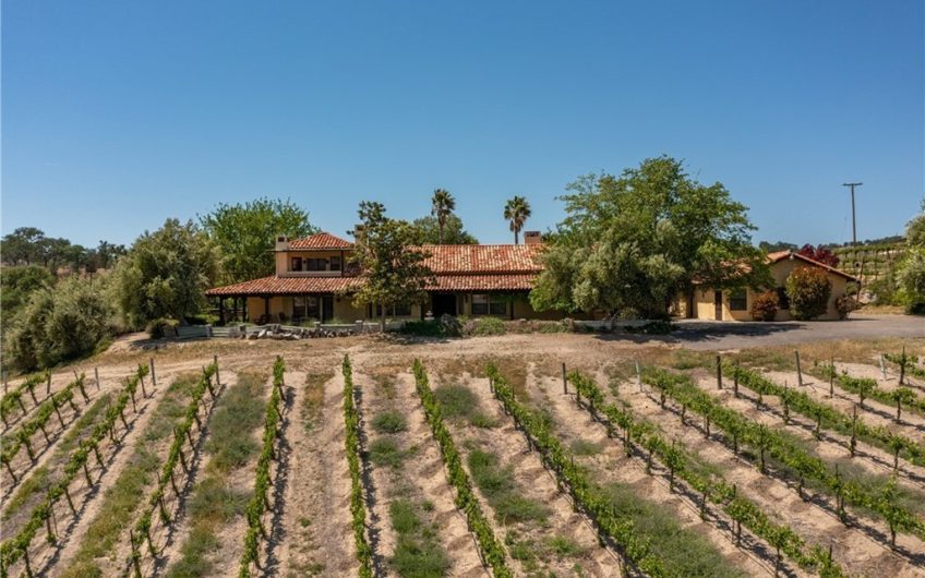 Paso Robles Vineyards & Wineries For Sale - VineSmart