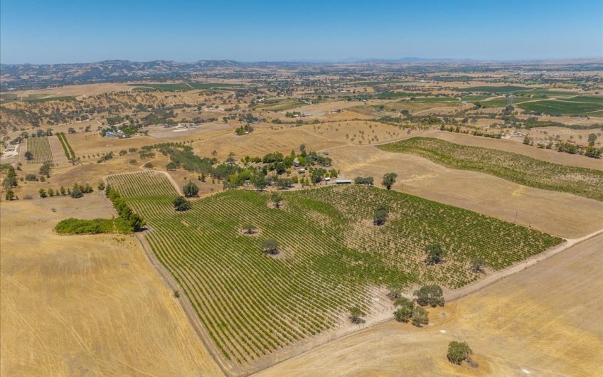 Paso Robles Vineyards & Wineries For Sale - VineSmart
