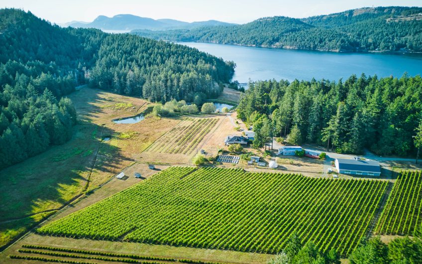 British Columbia Vineyards & Wineries For Sale - VineSmart