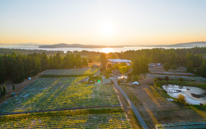 British Columbia Vineyards & Wineries For Sale - VineSmart